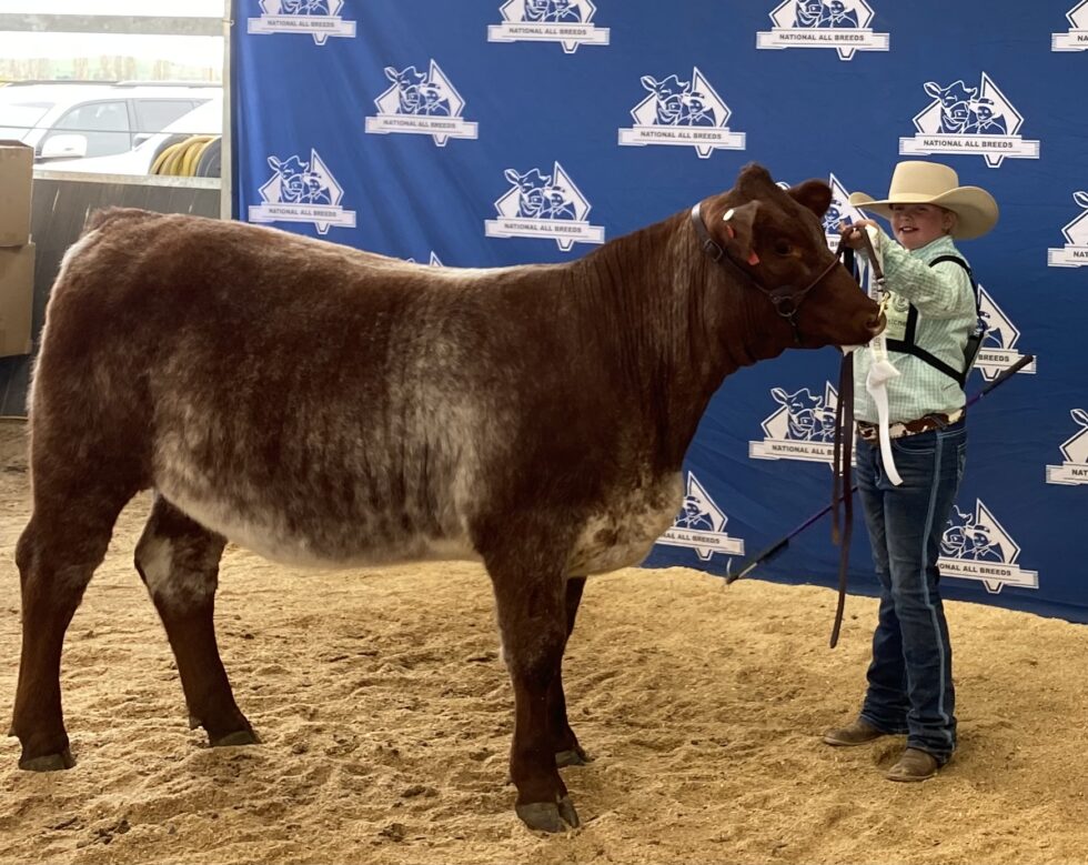 2024 National All Breeds Junior Heifer Show | Ronelle Park & Trojon ...